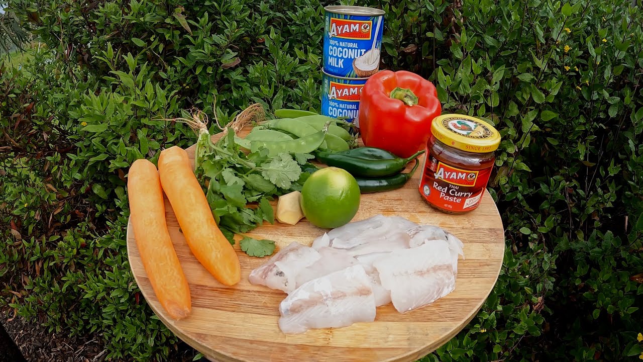 THE BEST EATING FISH IN THE WORLD CATCH AND COOK! - YouTube