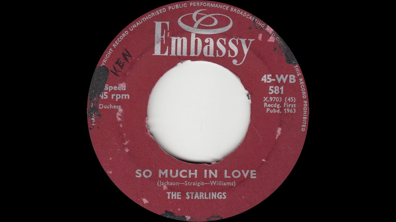 The Starlings - So Much In Love - YouTube