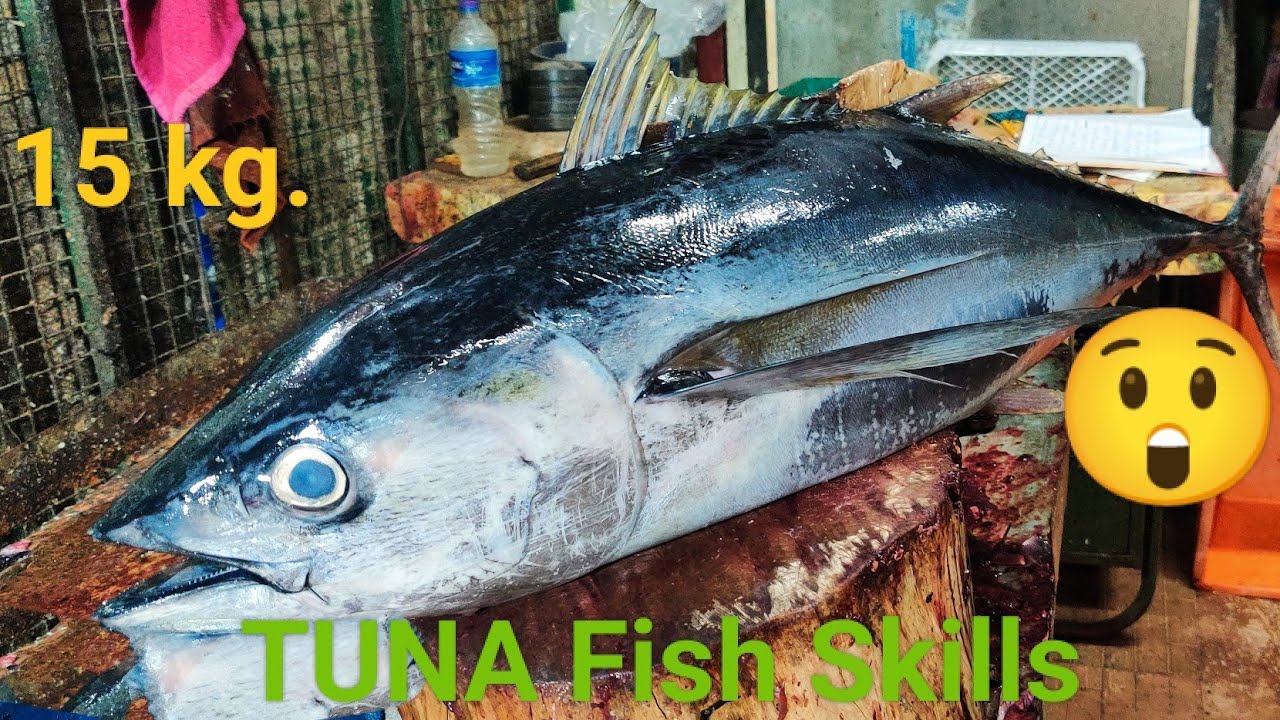15 KG { TUNA FISH CUTTING } LIVE VIDEO KERALA 🚀🚀 AND ( KERA MEEN ...