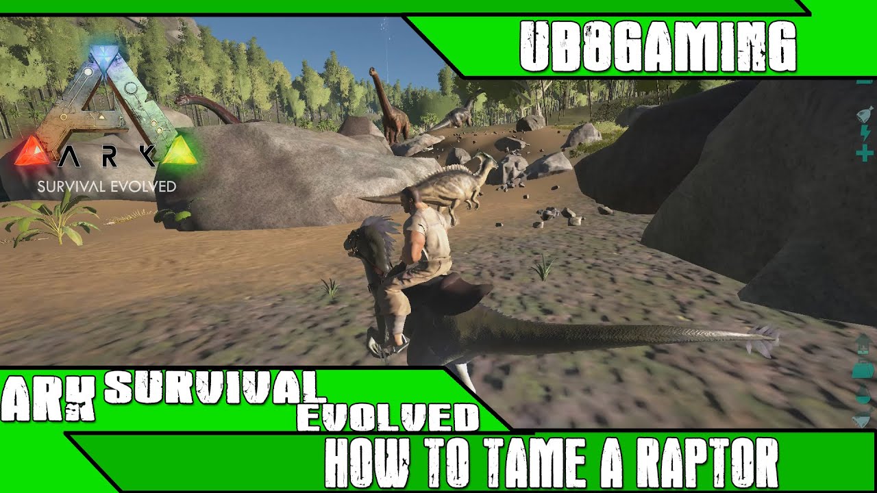 ARK: Survival Evolved - Taming A Raptor - How To Tame - YouTube