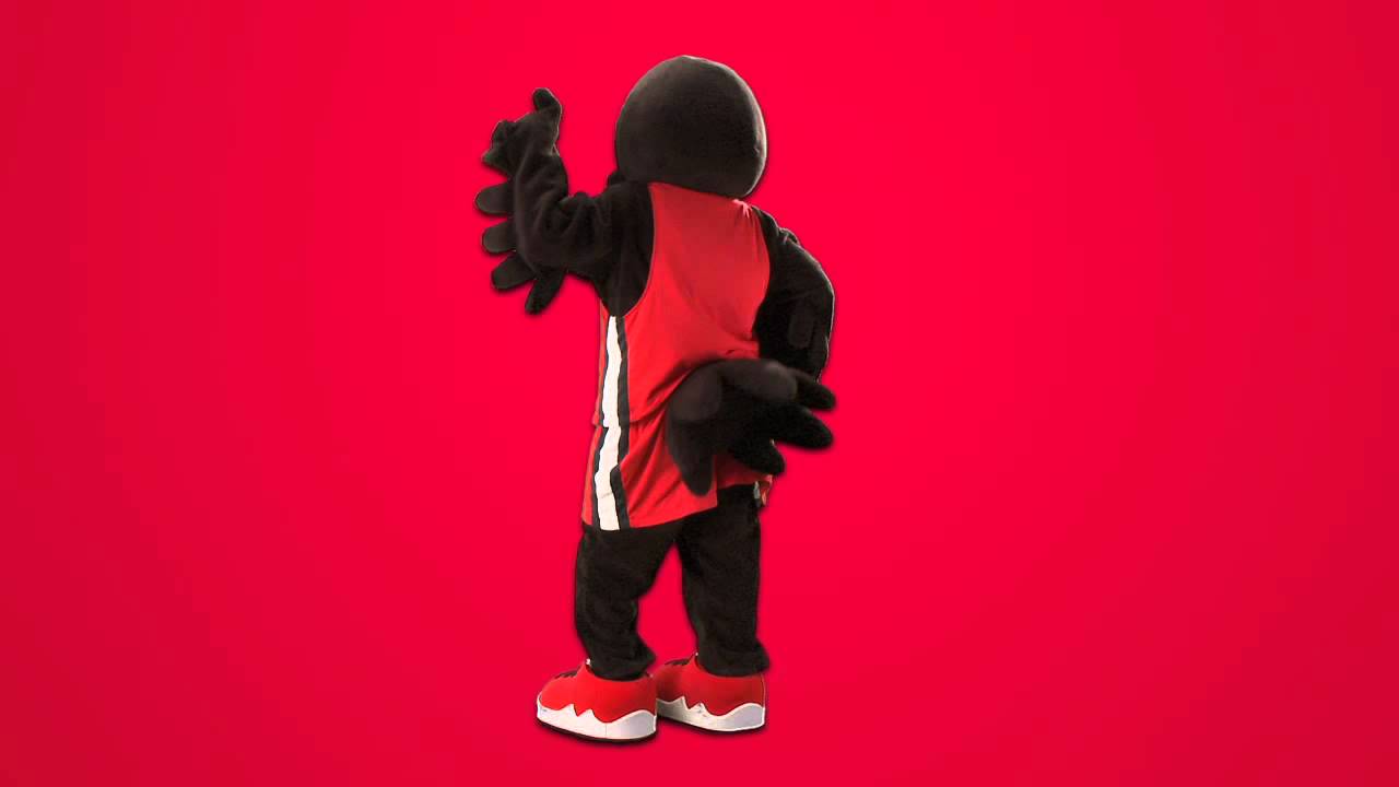Carleton University Mascot