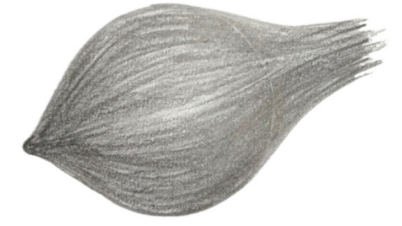 #coconut draw and shade coconut easily | coconut drawing | nariyal ka ...