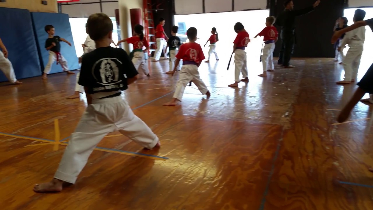 July 2017 - Troy and Teo Testing for Purple Belt 002 - YouTube