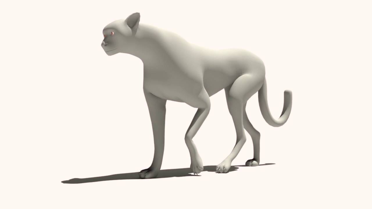 Cheetah Locomotion - YouTube