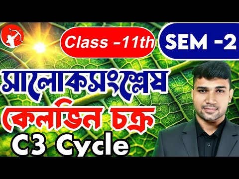 C3 Cycle | Class 11 Sem 2 Biology | Kelvin Cycle - YouTube