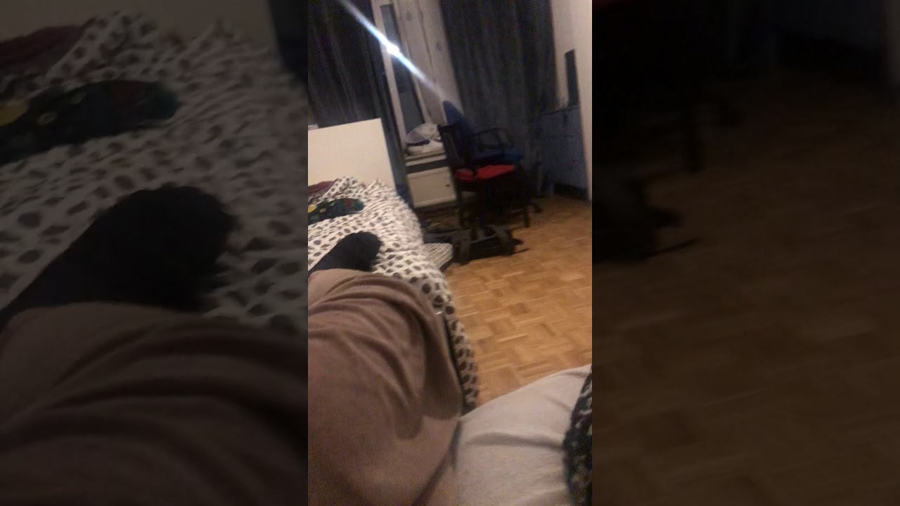 Yyyyyyyyyyyyyyyyyyyy - YouTube