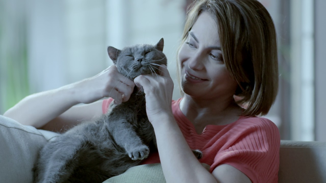 Nutrapro GATOS - YouTube