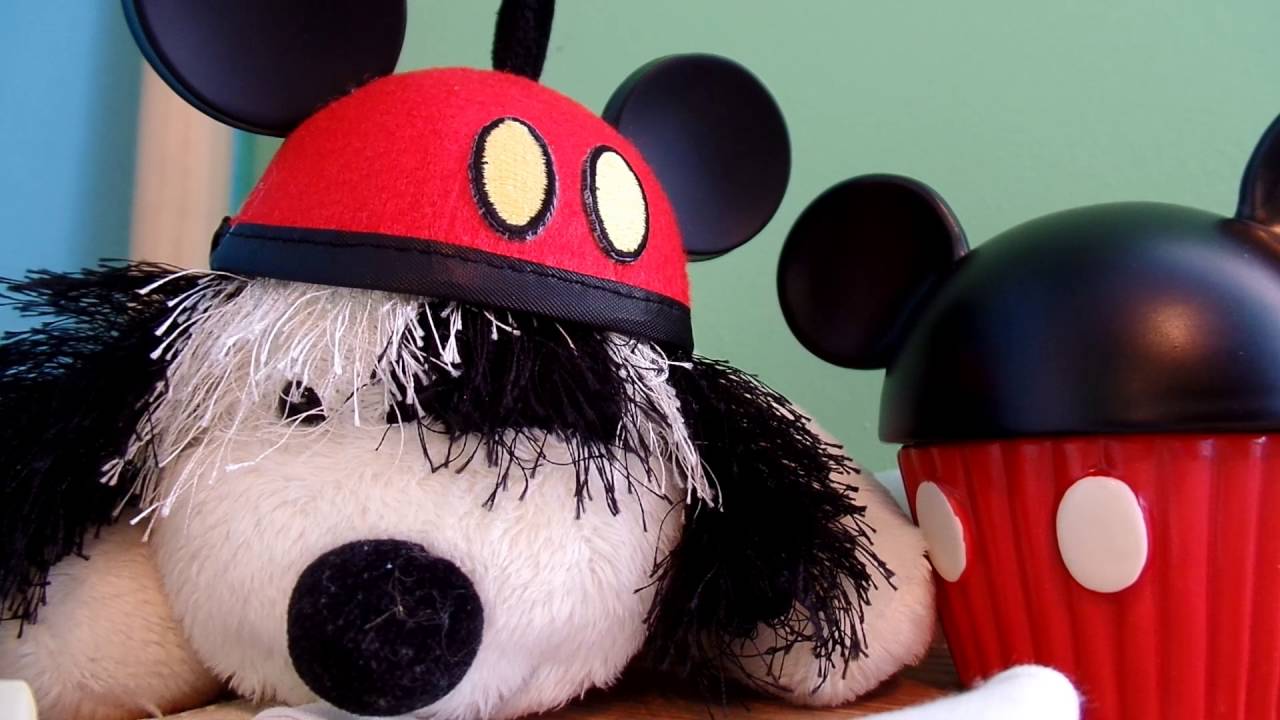 Disney Tag || 30 Questions Under 5 Minutes - YouTube