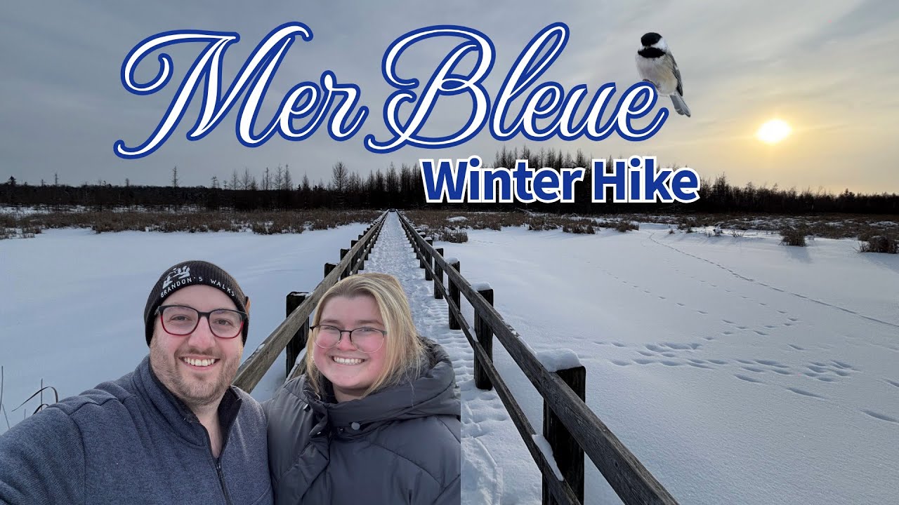 Mer Bleue Bog Trail in Winter | Ottawa Ontario | Winter Hike - YouTube