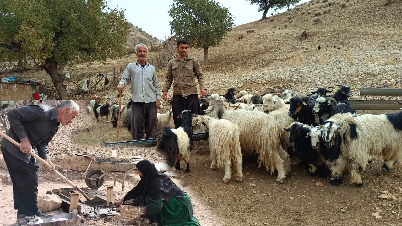 Digging a hole to light a fire - Daily life of nomads with Gol Mohammad ...