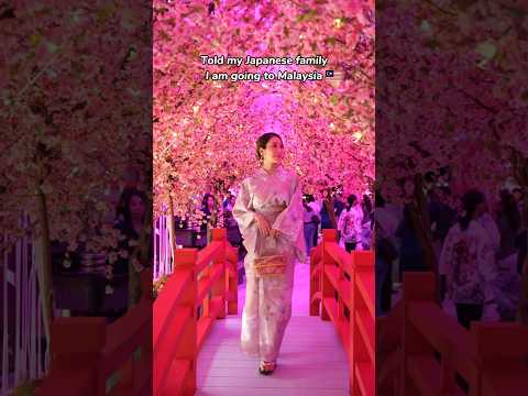 Sorry 😞 I lied to my Japanese Family 🇯🇵