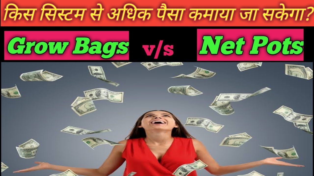 Grow Bags VS Net Ports ! Which One is Best ! Which One is Provide High ...