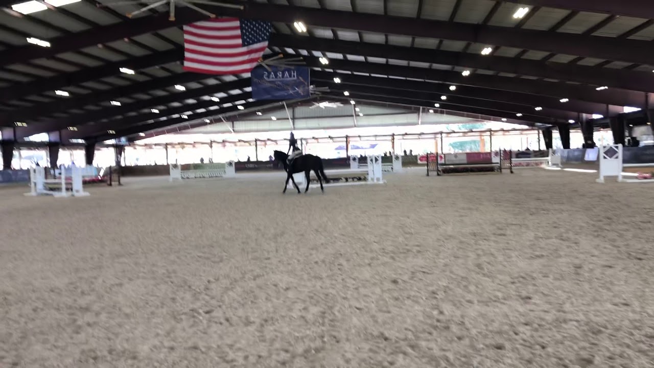 Haras Hacienda Horse Show - YouTube