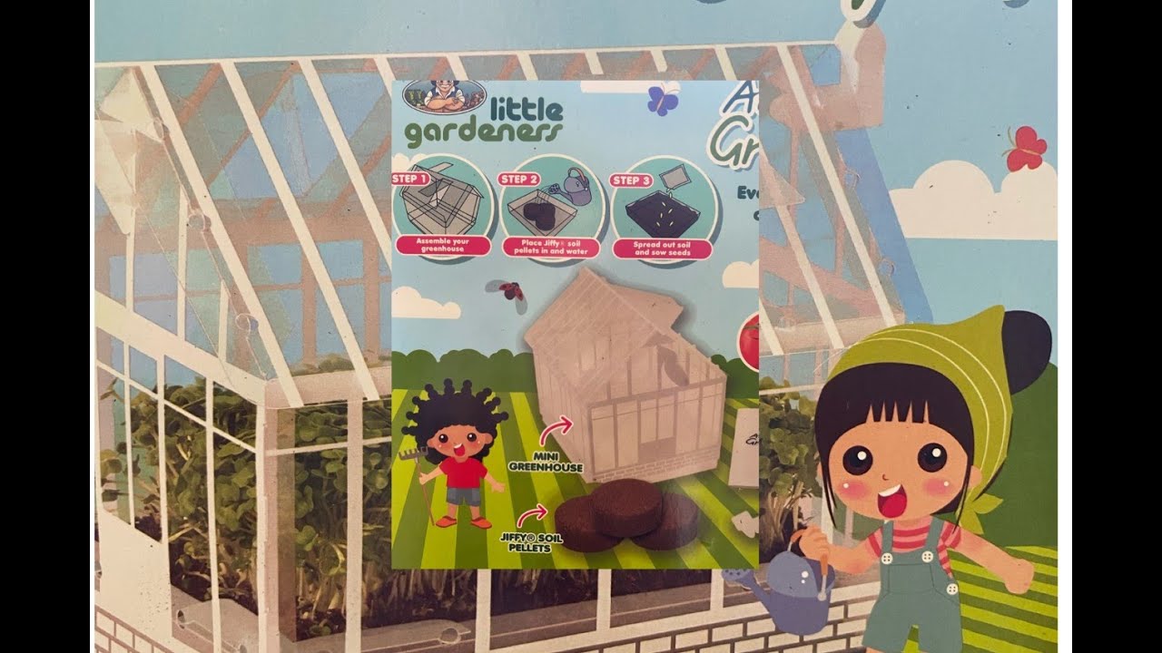 Making mini greenhouse for kids from Bunnings , Greenhouse for kids ...