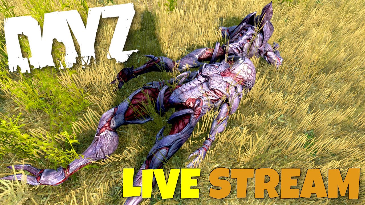 Alien Stuffs on Banov | LIVESTREAM 1440p - YouTube