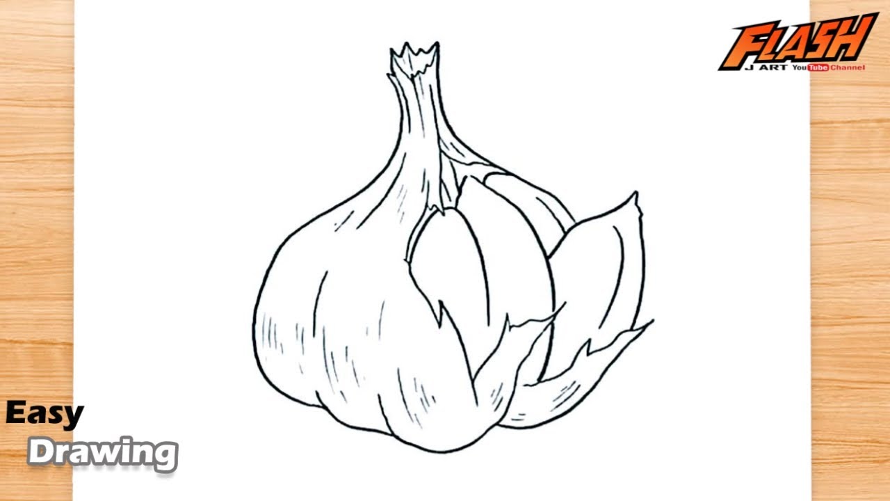 how to draw GARLIC step by step - YouTube