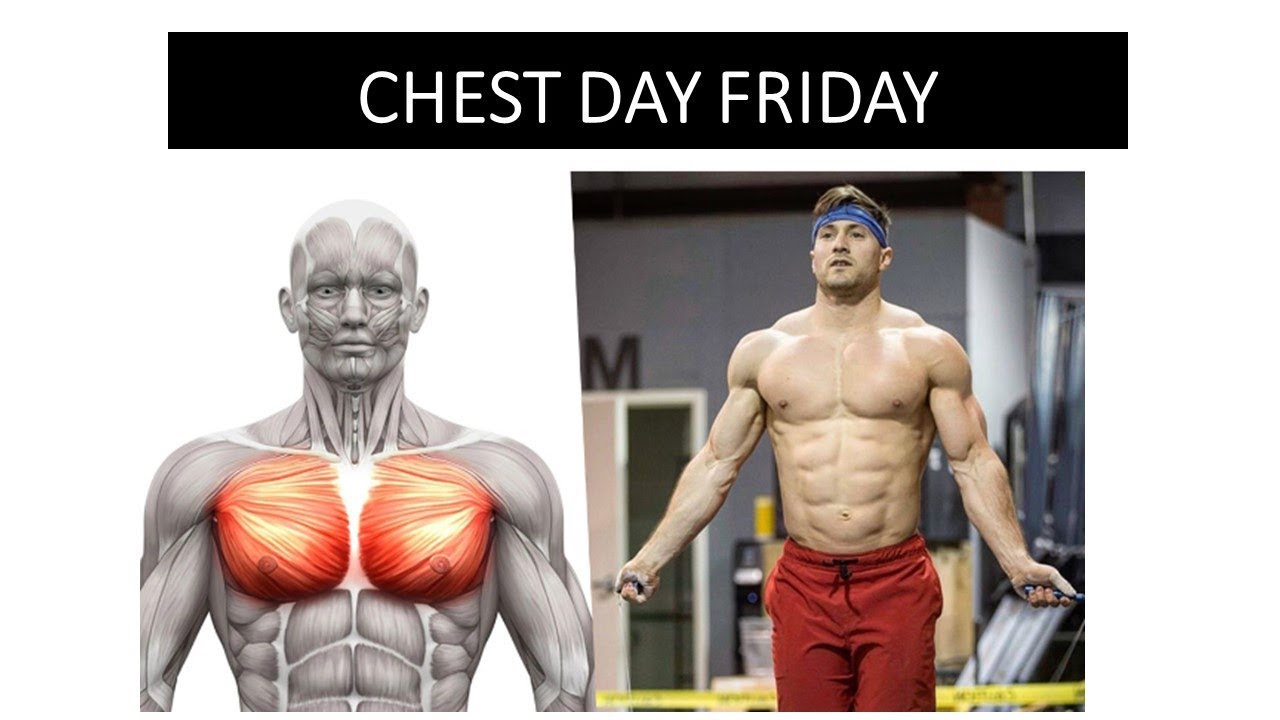 CHEST DAY FRIDAY I Fitness Saifi - YouTube