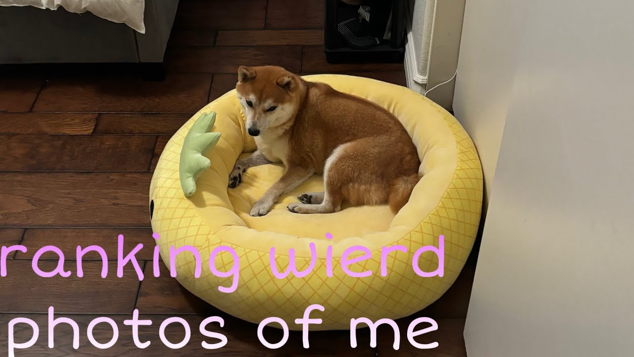 ranking weird photos of me - YouTube