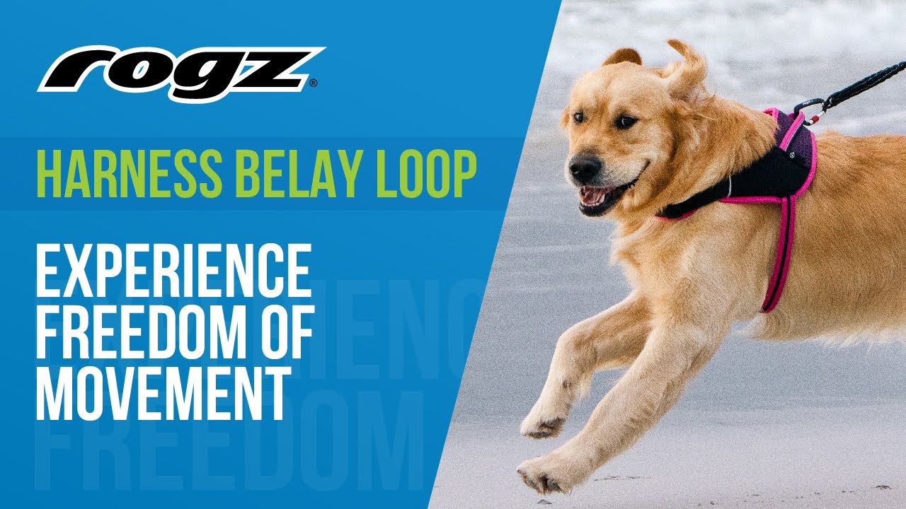 Harness Belay Loop - Experience Freedom of Movement - YouTube