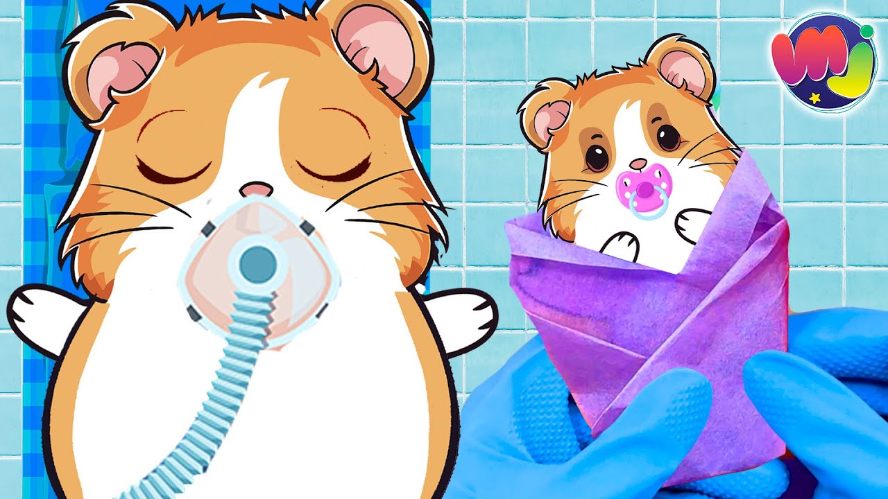 🐶 HAMSTER EMBARAZADA TIENE un BEBÉ en el HOSPITAL 🤰 - YouTube