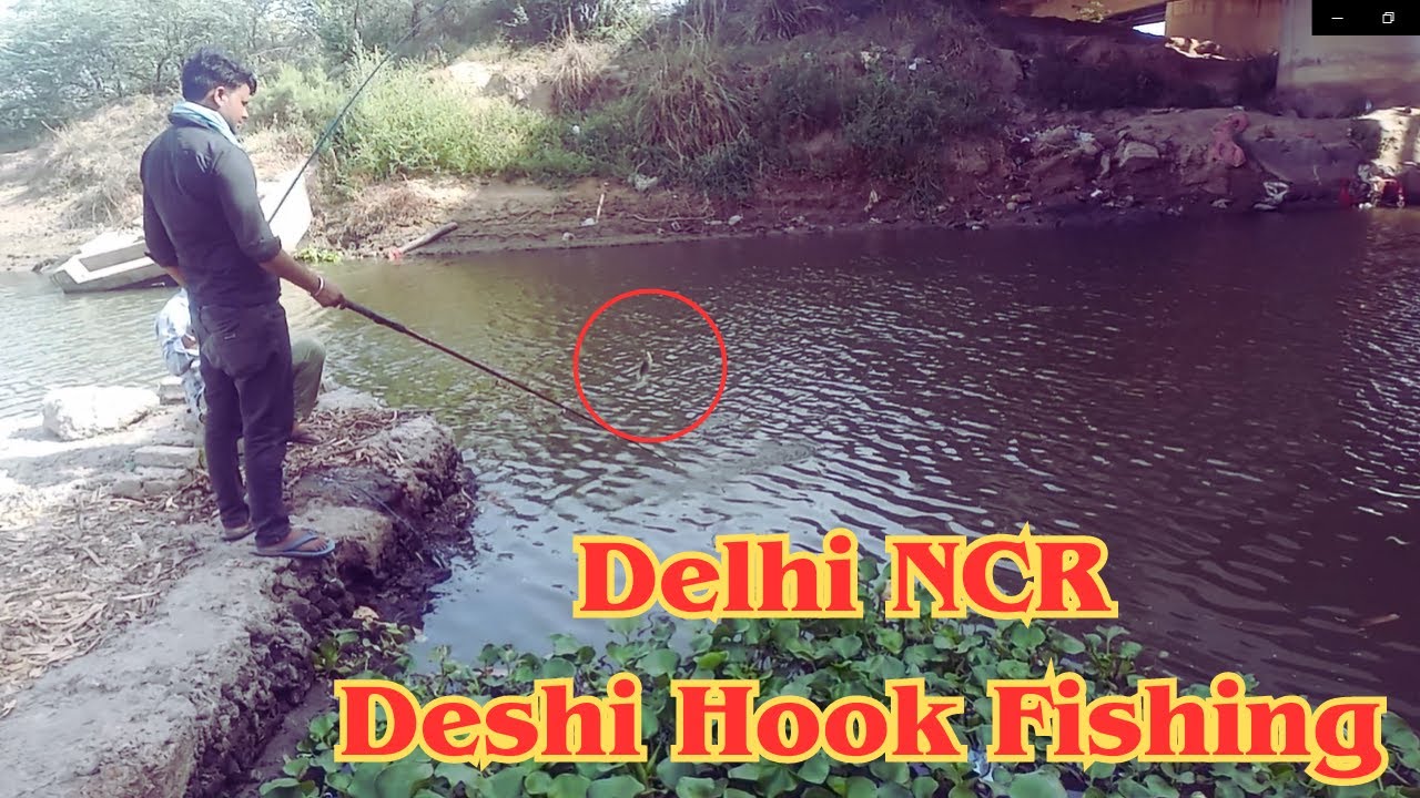 Fishing Point Delhi Me | Delhi NCR | Deshi Hook Fishing | Full Masti | - YouTube