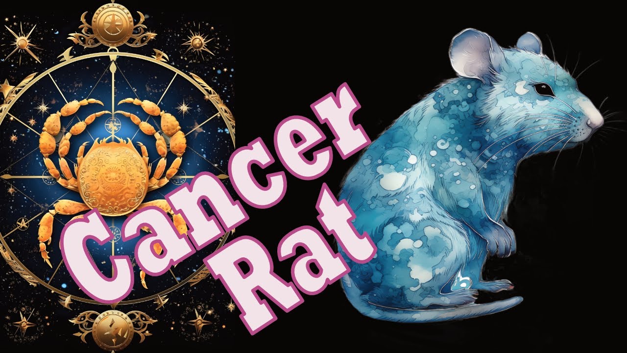 Cancer Rat Discussion - YouTube