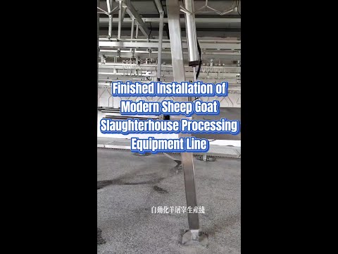 Modern Sheep & Goat Slaughterhouse Processing Line Installation Slaughtering Equipment