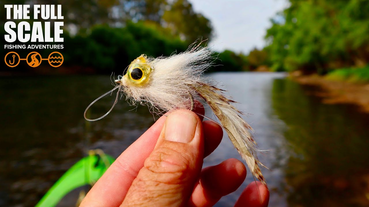 Fly Fishing For Murray Cod | The Full Scale - YouTube