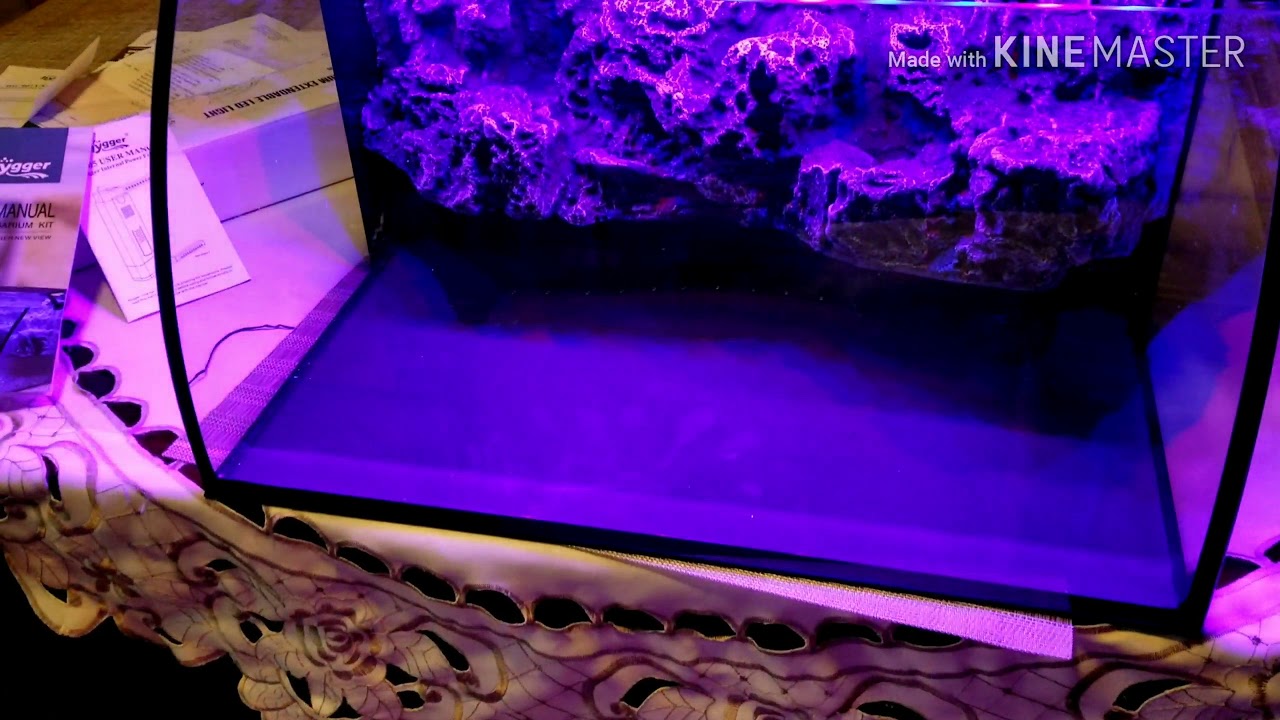 Hygger Horizon Aquarium kit - YouTube