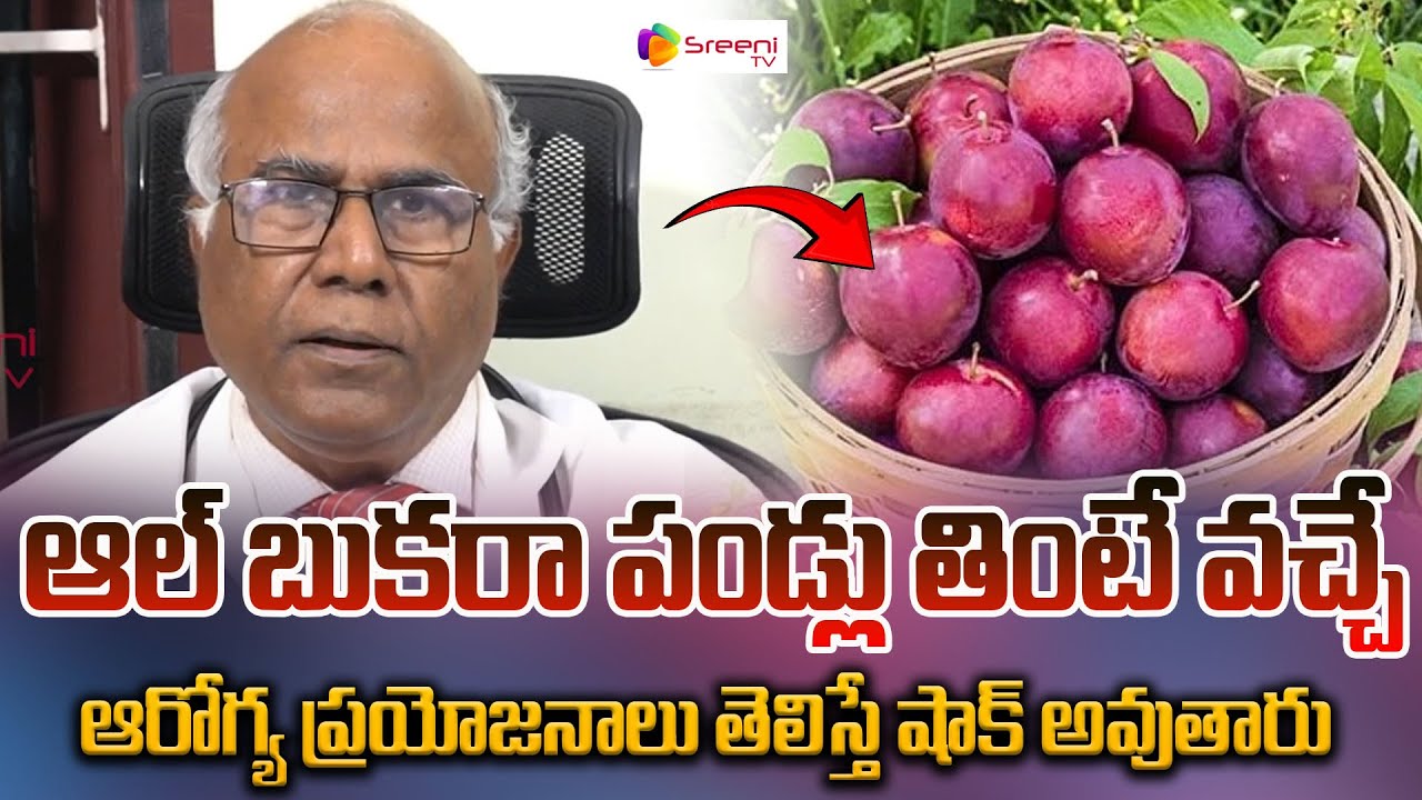 Dr CL Venkat Rao About Health Benefits of Plum Fruit In Telugu | Sreeni ...