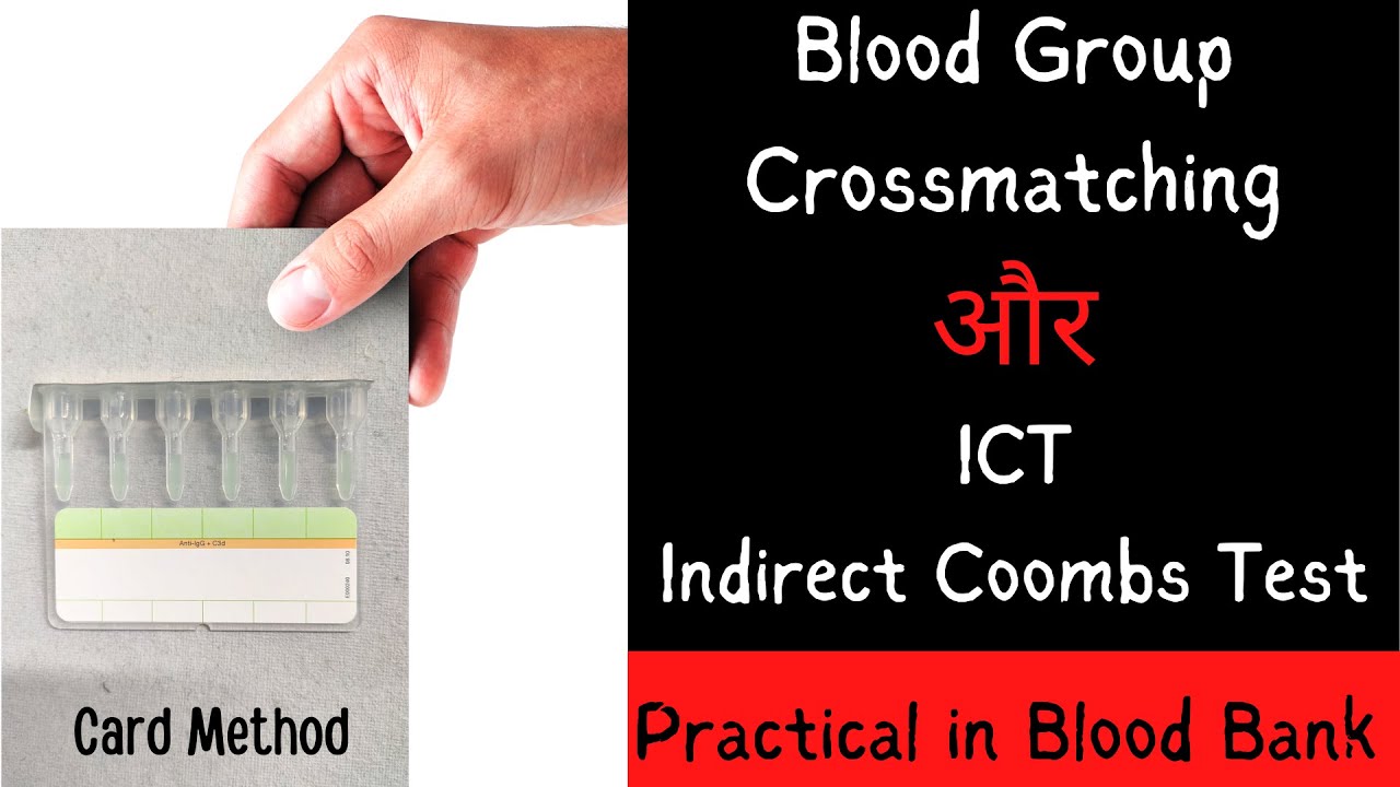 Blood Group Crossmatching | ICT (Indirect coombs Test) | Practical ...
