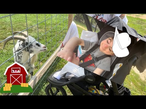 Sebastian’s first trip to a Farm! - YouTube