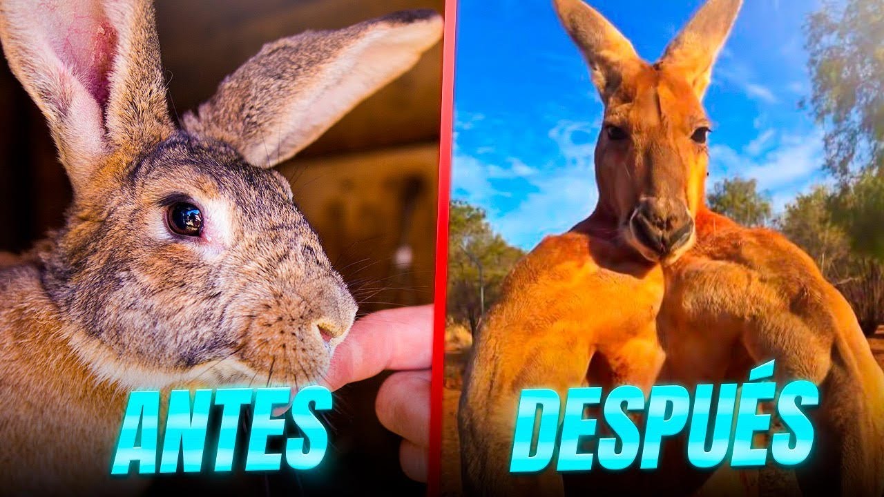 8 ANIMALES QUE EVOLUCIONARON Y NO LO SABÍAS !! - YouTube