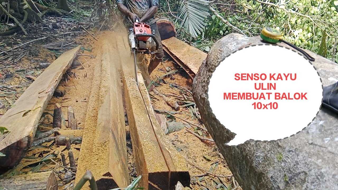 Tehnik membuat balok kayu ulin || harga yang menakjubkan #sensokayu # ...