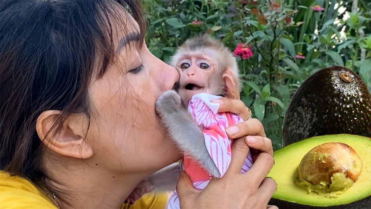 Princess ZIM is pleased with her mother's wonderful avocado | Zim ...