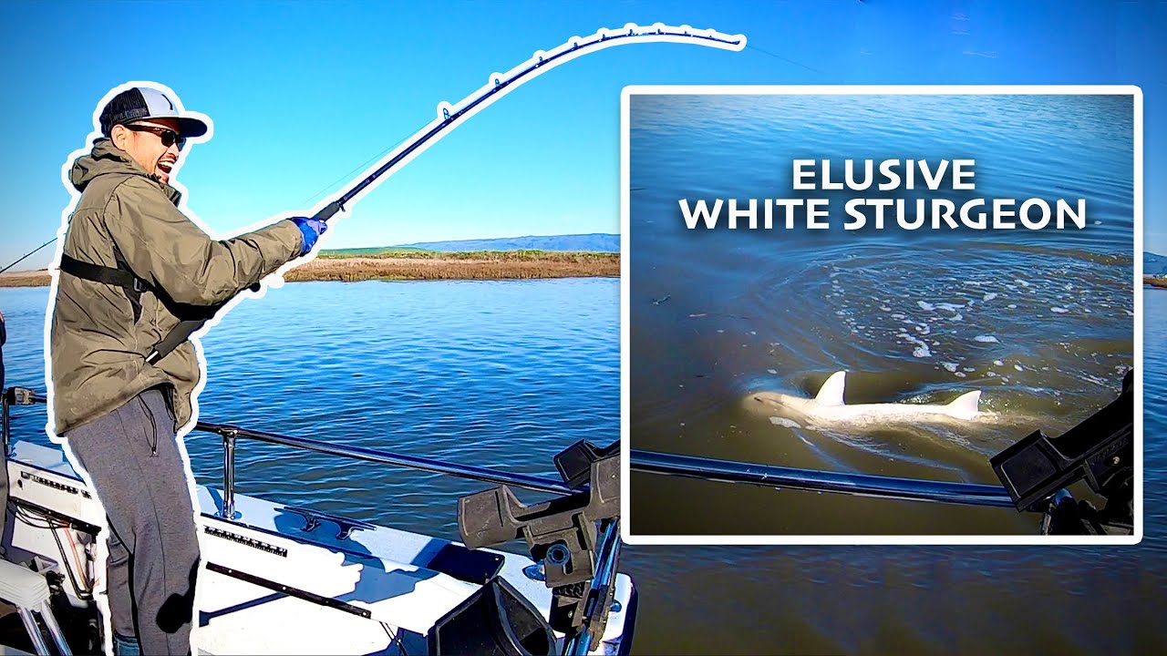 Spent more than 40 hours in the water to catch this Dinosaur fish - YouTube