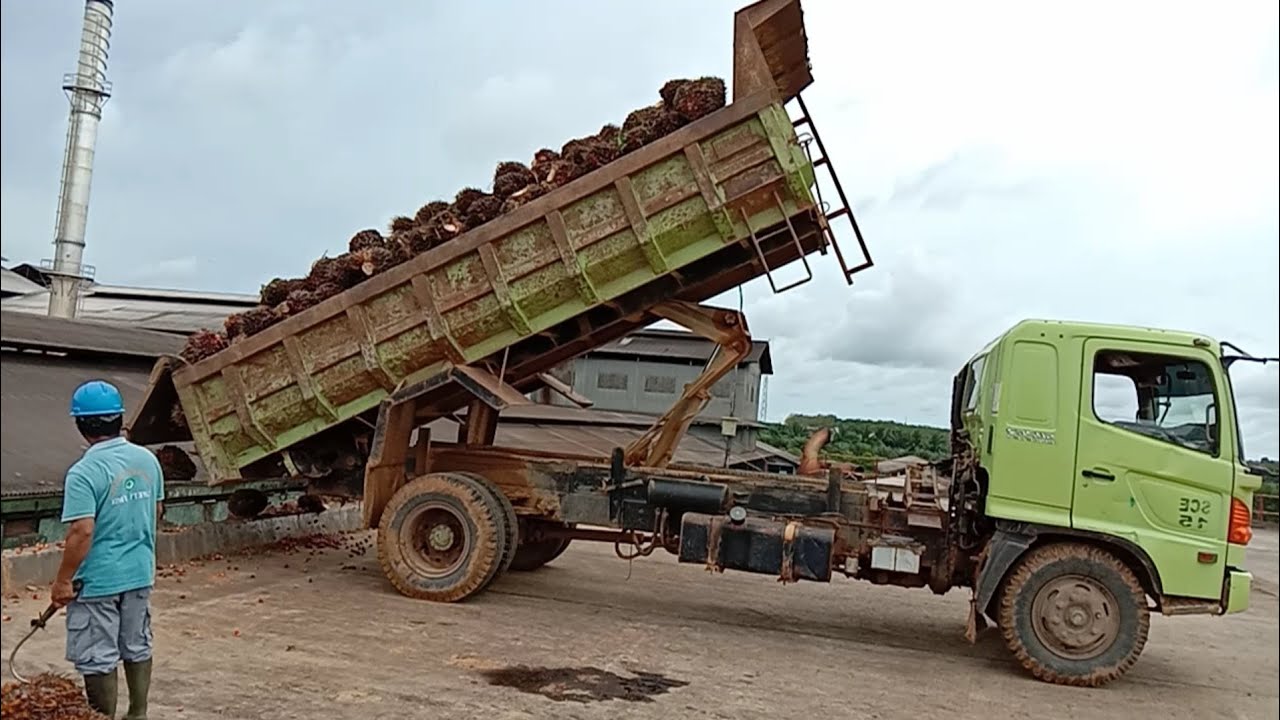mobil truk sawit muatan 10 ton - YouTube