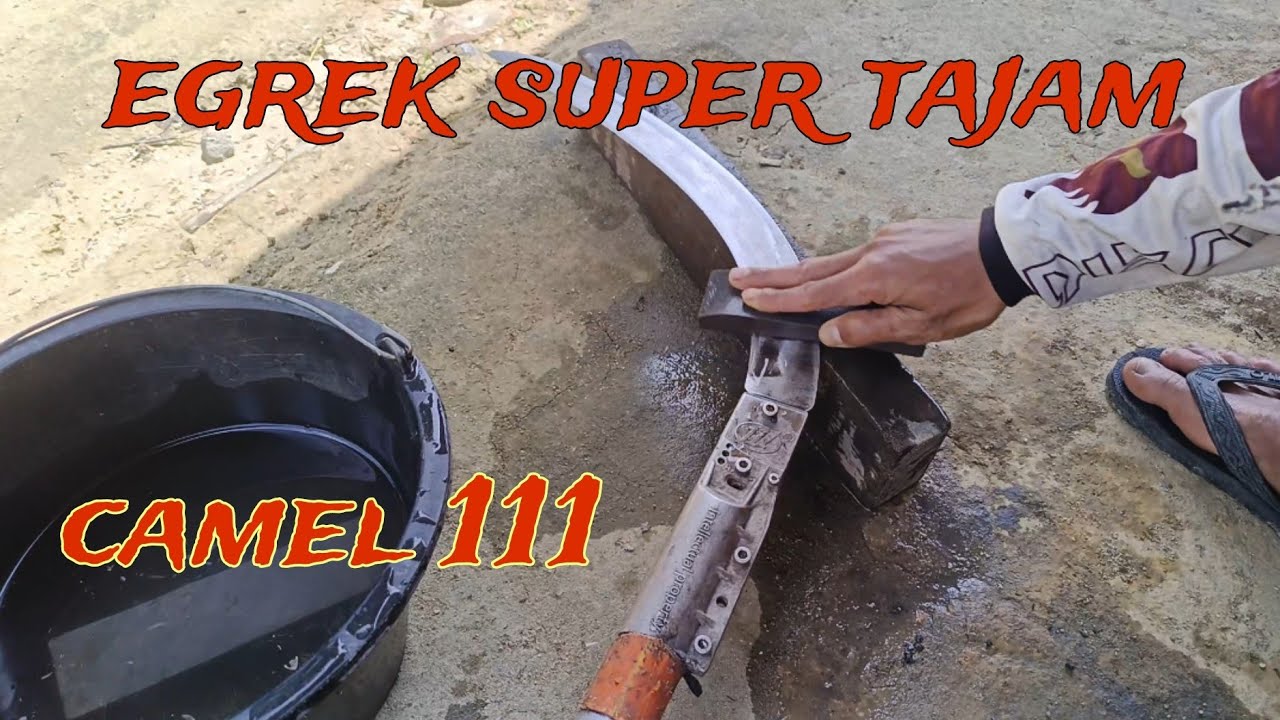 EGREK CAMEL 111 COCOK UNTUK PEMANENAN PEMULA - YouTube