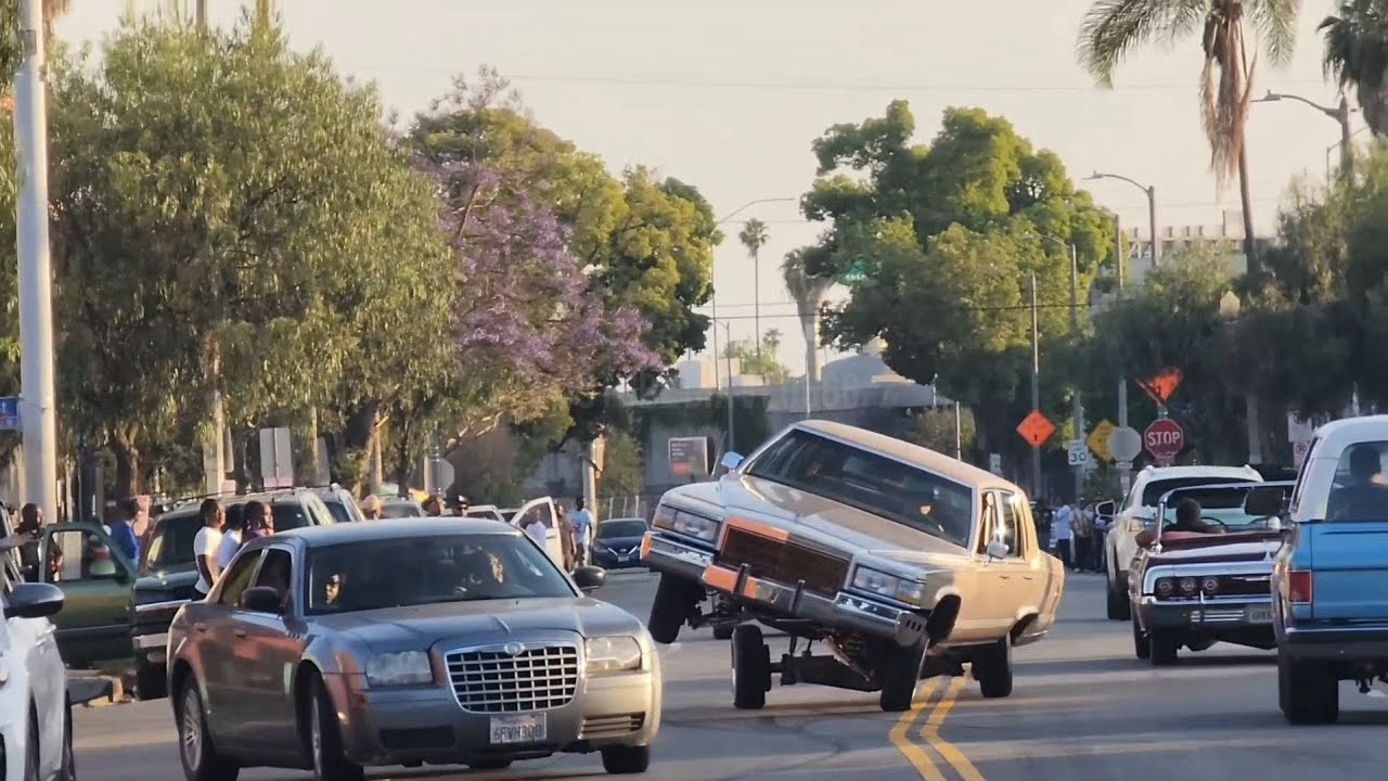 Lowriders cruising in los angeles and gets active before the day end ...