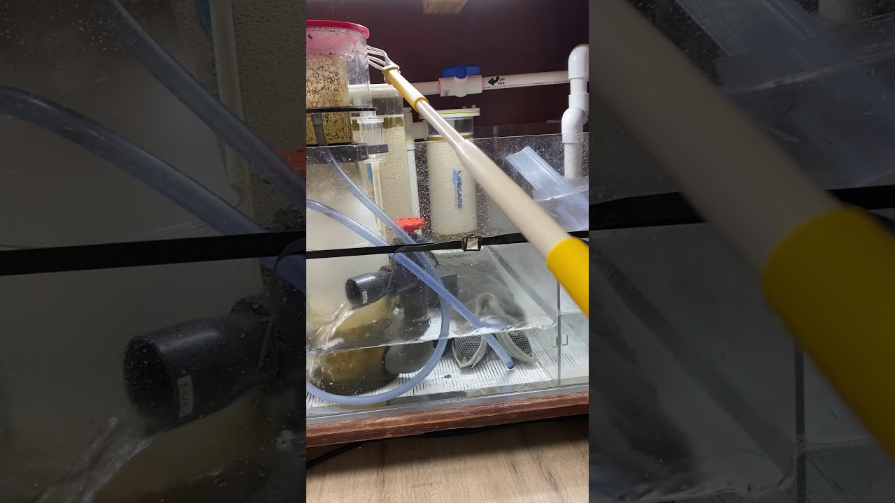 DIY ACRYLIC ACRYLIC SUMP TANK AND EQUIPMENT OVERVIEW - YouTube