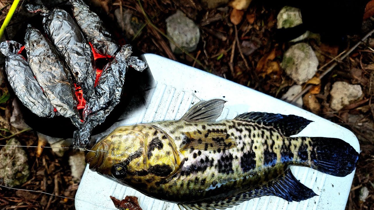 BBQ Fish Roast Over Open Fire - YouTube
