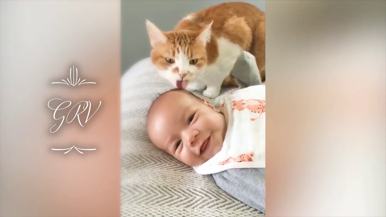 Cutest and Funniest Baby and Cats Compilation #1 - YouTube