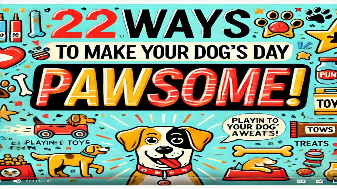 22 Ways to Make Your Dog's Day Pawsome! - YouTube