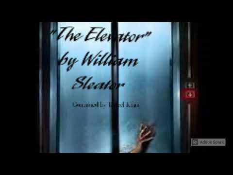 English presentation on "The Elevator" by William Sleator Continuation ...