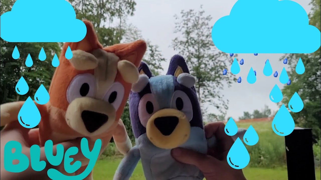 Bluey and Bingo rainy day! - YouTube