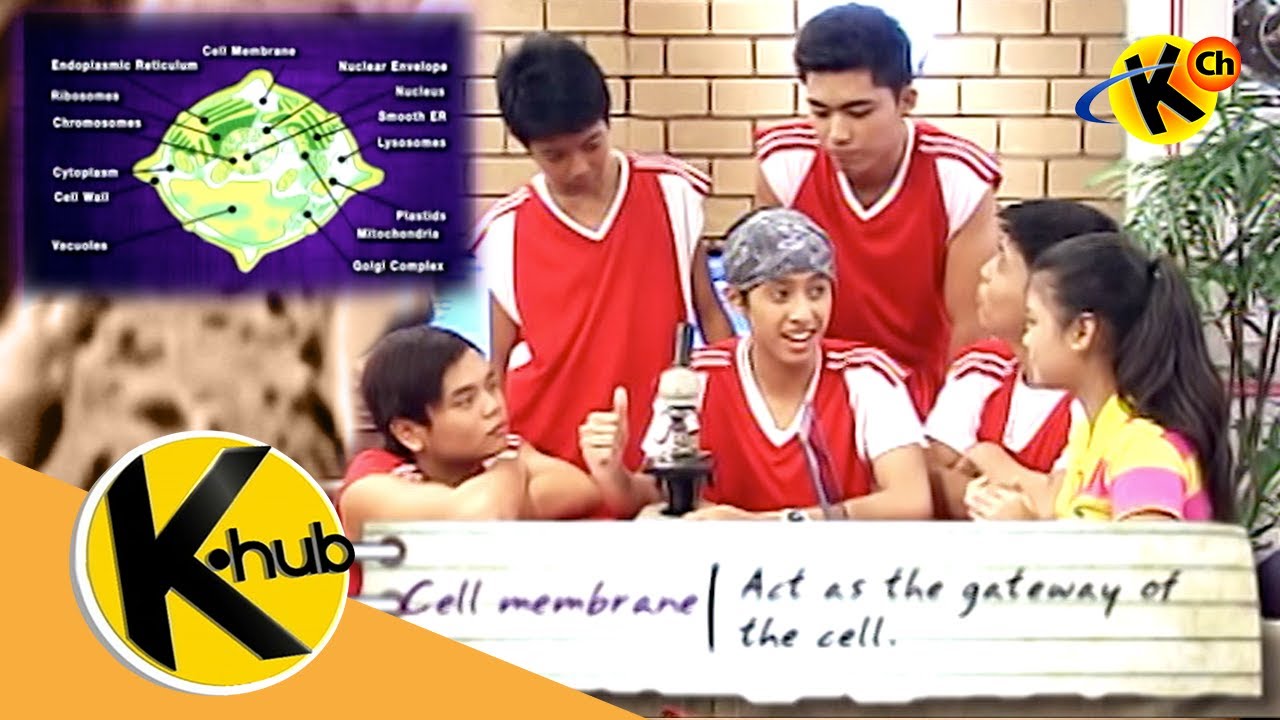 Parts of the Cell | K-Hub - YouTube