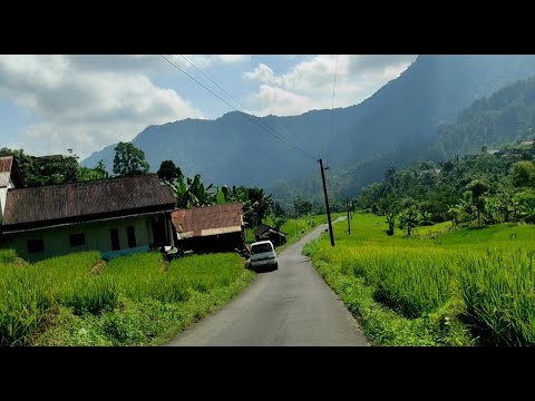 Virtual walk - walk in cool mountain village||javavillage - YouTube