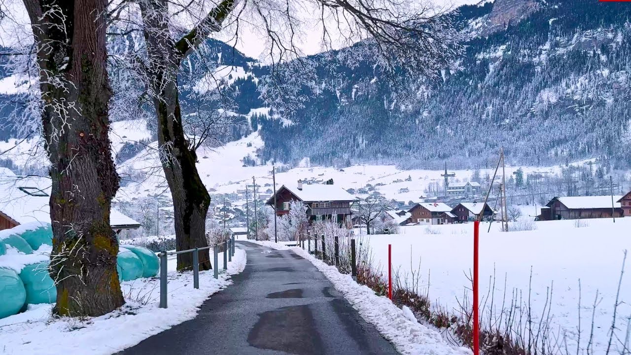 ️☃️ Switzerland Winter Wonderland 🇨🇭 Covered in Snow | #swiss # ...