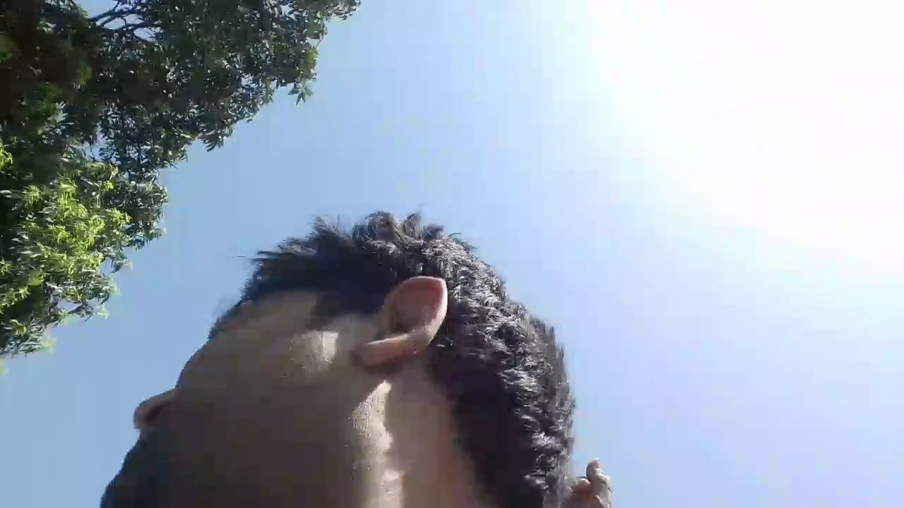 Evm ka virodh karte bsp party karyakarta - YouTube