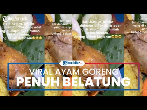 Viral Video Nasi Kuning Penuh dengan Belatung di Dalam Ayam Goreng